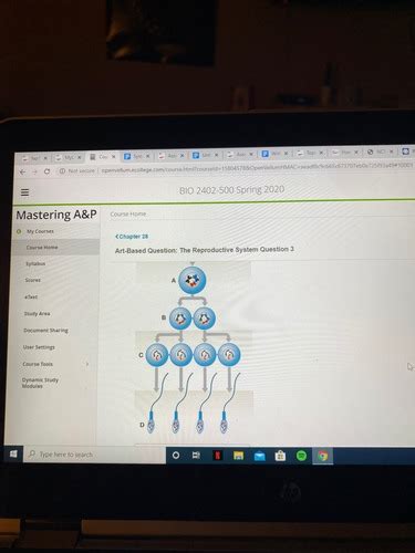 A P 2 Ch 28 Flashcards Quizlet
