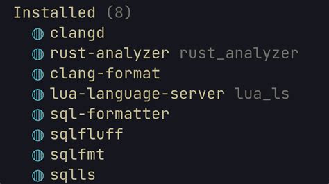 why is no language server used in this psql r neovim