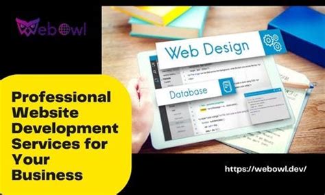 professional website development services for your business webowl