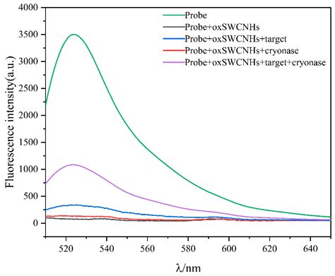 Novel Enzyme Assisted Recycle Amplification Strategy For Tetracycline Detection Based On