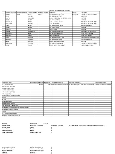 Concatenar Y Formulas Varias Pdf Liderazgo Economias