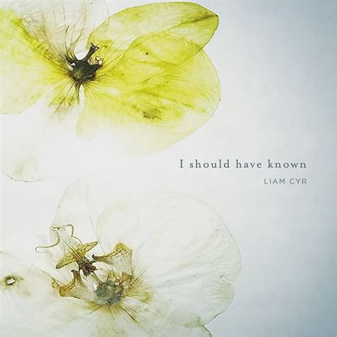 New Music Liam Cyr Releases Moving Folk Motif “i Should Have Known