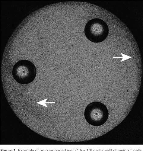 Figure 1 From Using The Agilent Novocyte Flow Cytometer For Immune
