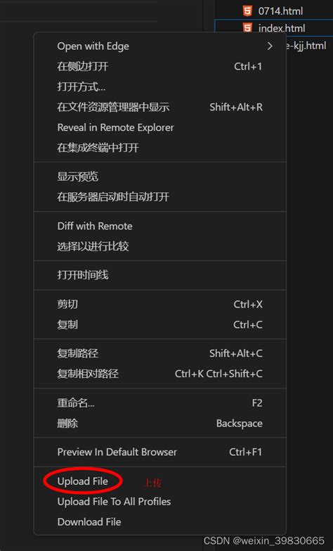vscode 配置sftp问题 vscode ftp csdn博客