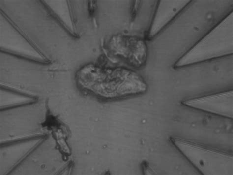 Deep Learning How To Stack Image Files In To One File And How To Resize Black And White Images