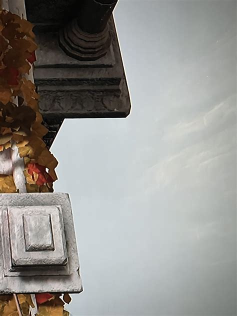 What Is The Erdtree Growing On Looking Down From Certain Places Of Leyndell It Looks To Go On