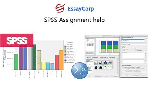 Spss Assignment Help Spss Homework Help Services