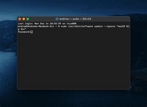 How To Stop Your Mac From Updating To MacOS Big Sur AppleToolBox