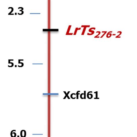 axiom array snp genotyping data showing polymorphic snps between