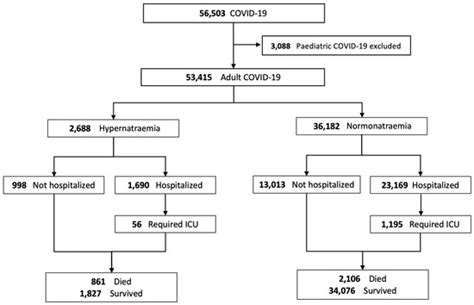 Epidemiology And Outcomes Of Hypernatraemia In Patients With Covid 19—a