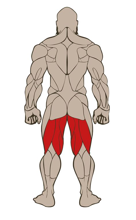 Lever Plate Loaded Kneeling Leg Curl Grinder Gym