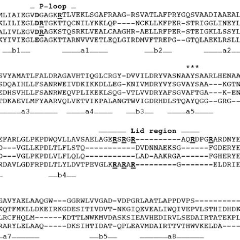Left Structure And Atom Numbering Of Dtmp Right Schematic Drawing Of