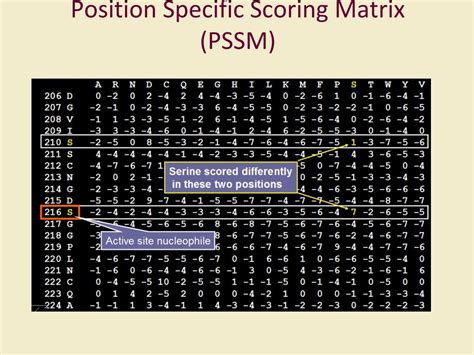 Ppt Multiple Sequence Alignments Advanced Blast Searches Powerpoint Presentation Id3721936