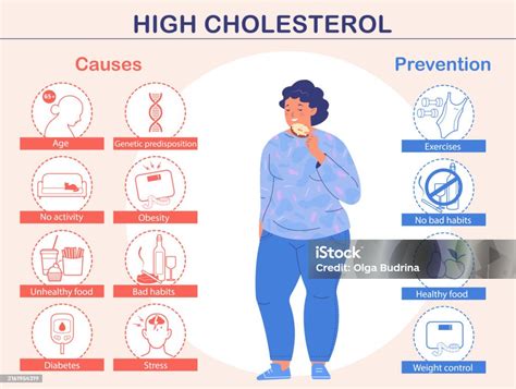 Infographic Of High Cholesterol Symptoms And Causes An Overweight Woman