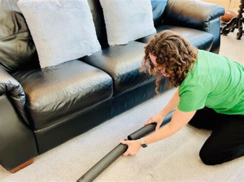 Natural Pest Control How To Get Rid Of Bugs Without Harsh Chemicals Chas Crazy Creations