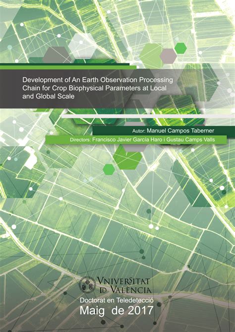 Pdf Development Of An Earth Observation Processing Chain For Crop Biophysical Parameters At