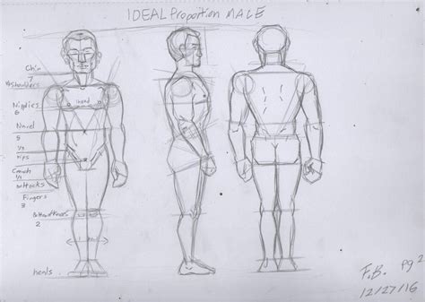 Andrew Loumis Ideal Proportion Male Practice By Faithbfield On Deviantart