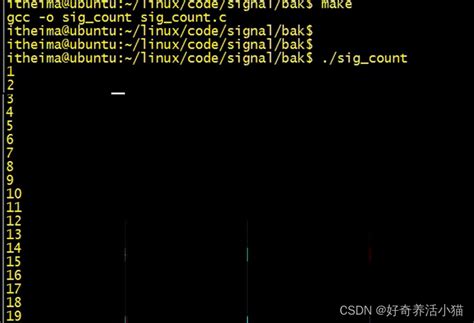 linux系统 信号 07 信号的概念，阻塞信号集 未决信号集 信号的产生，raise和abort，alarm发送信号，setitime使用