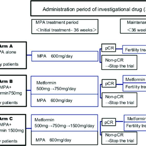 Trial Design Mpa Medroxyprogesterone Acetate Pcr Pathological Download Scientific Diagram