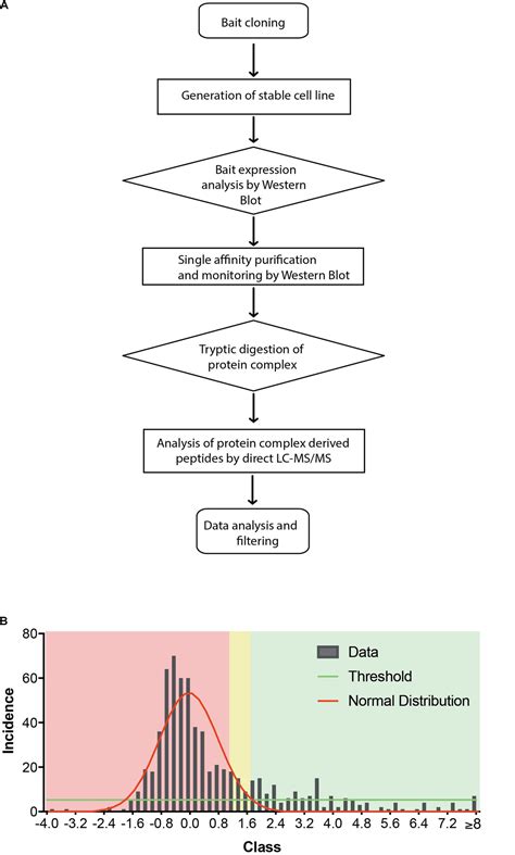 Overview Of The Tandem Affinity Purification Coupled With