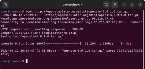 How To Install Opensim On Ubuntu 2204 Linux Genie
