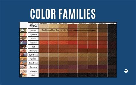 Hair Color Chart Everything Women Must Know