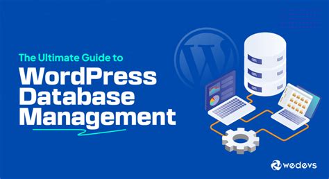 The Ultimate Guide To Wordpress Database Management Wedevs