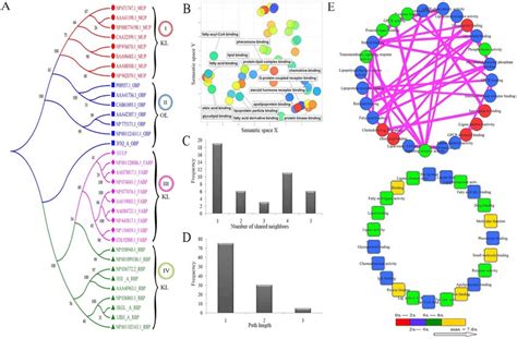 Clustering Of Phylogenetic Tree And Protein Protein Interactions
