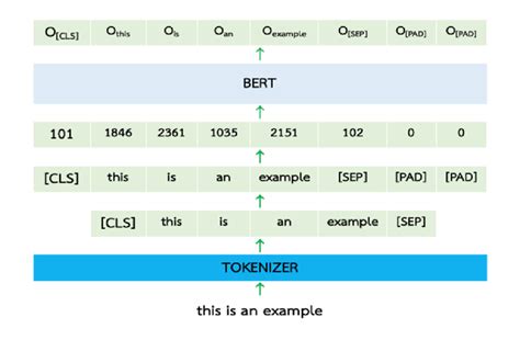 Example Of Generic Bert Structure For Generating Text Representation