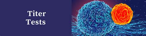 Immunity And Titer Tests What To Order And When Ulta Lab Tests