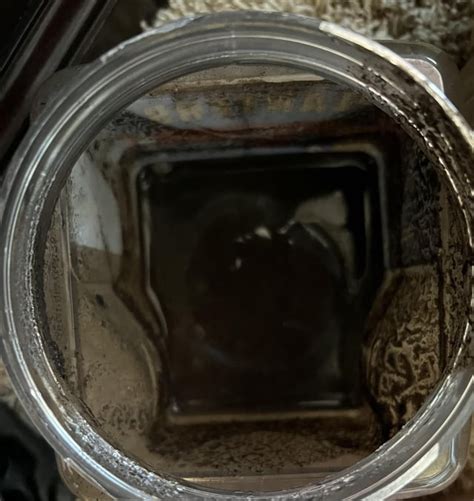 Clock Tower Starter Kit Rdreamlightvalley