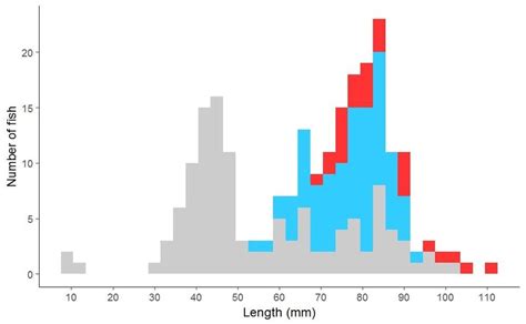 Length Frequency And Sex Of Fish Captured During Oct Dec 2017 Sex Was Download Scientific