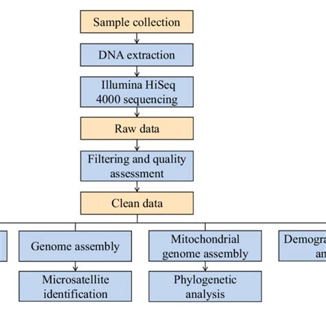Overview Of The Experimental Design And Analysis Pipeline Download