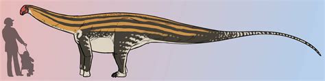 Nigersaurus Taqueti Prehistoric Animals And Dinosaur Illustration
