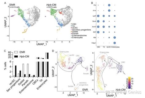 单细胞轨迹分析之应用篇 知乎
