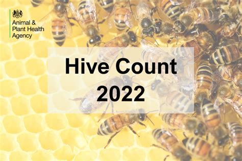 the annual national hive count is now live apha science blog