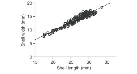 relationship between shell length and shell width in lymnaea shell