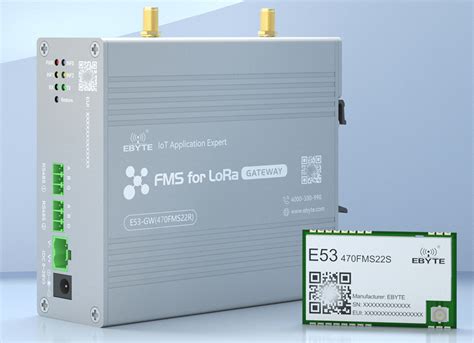 Lora Technology Networking Solution Iot Module Shop Manufacturer Factory