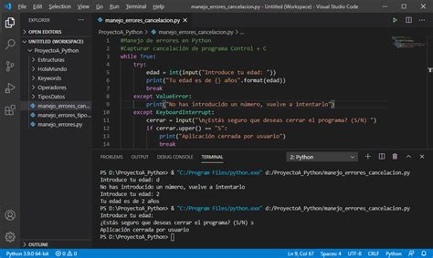 Manejo De Errores En Python Proyecto A