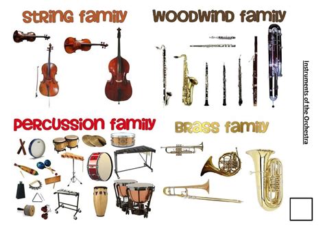 Percussion Instruments Orchestra