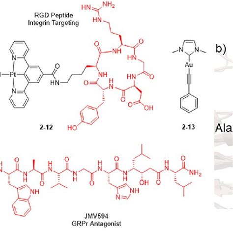 Pdf Organometallic Anti Tumor Agents Targeting From Biomolecules To Dynamic Bioprocesses