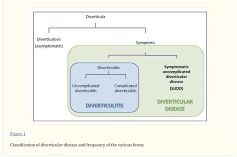 Symptomatic Uncomplicated Diverticular Disease Scientific Community