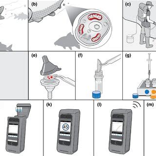 Results Of The Laboratory Experiment Comparing Biomeme QPCR To Download Scientific Diagram