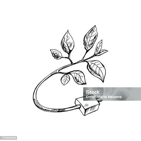 잎 플러그 환경의 손으로 그린 흑백 스케치 에코 에너지 개념입니다 리프 플러그 환경 낙서 벡터 그림입니다 포도 수확 개념에 대한
