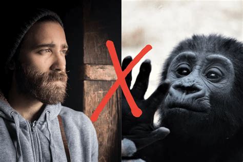 ¿el Hombre Proviene Del Mono