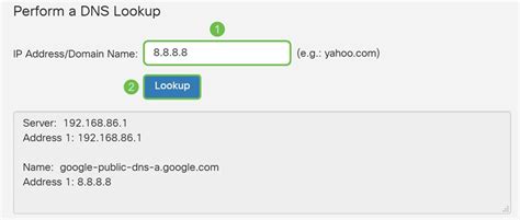 no domain name lookup cisco domainamef