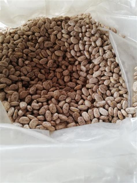 Turopoljski Cesnjak Mladi Star Lucice Puter Grah Kasa