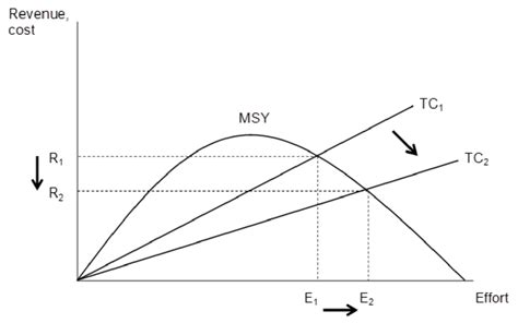 Figure A Support To Variable Input Use In An Open Access Fishery Download Scientific Diagram