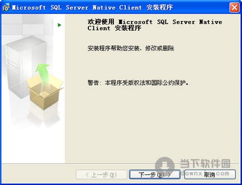 Sql Server 11 0 Native Client Download MageraX