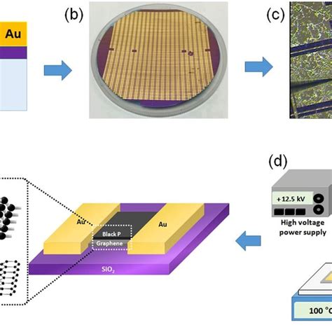 Sequence Of Sensor Fabrication Process Of Humidity Sensor Using Download Scientific Diagram